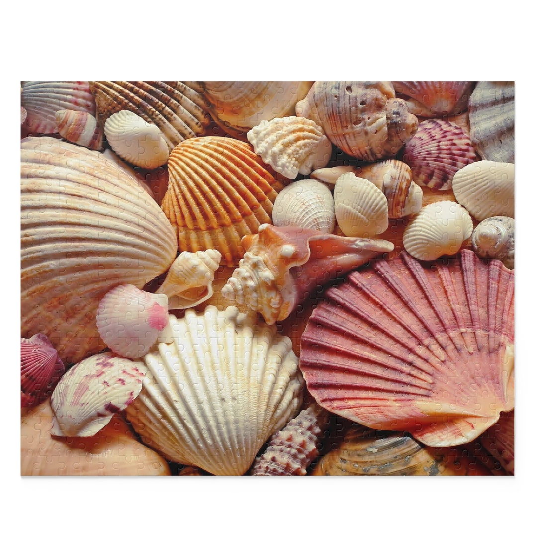 Seashell Puzzle, Seashells, Tropical Puzzle, Beach Shell Puzzle ...
