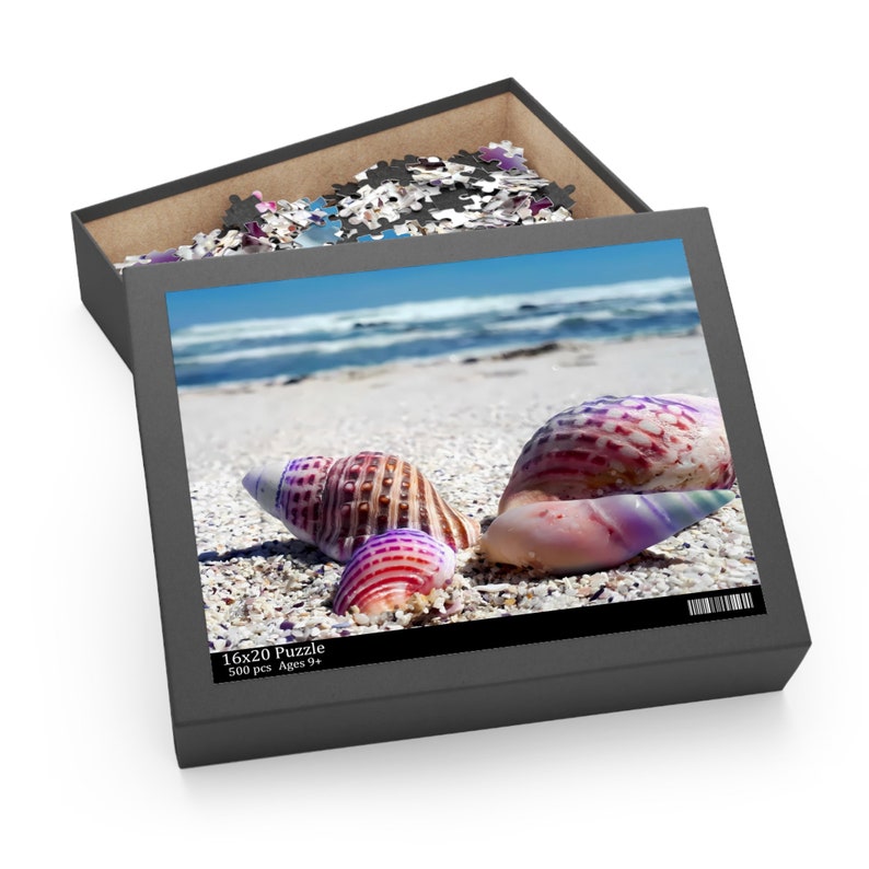 Seashell Puzzle, Bright Colored Seashells, Ocean Puzzle, White Sand ...