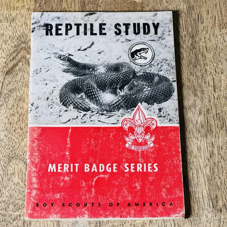 Vintage Boy Scouts Reptile Study Merit Badge Series 1960's Version - Etsy