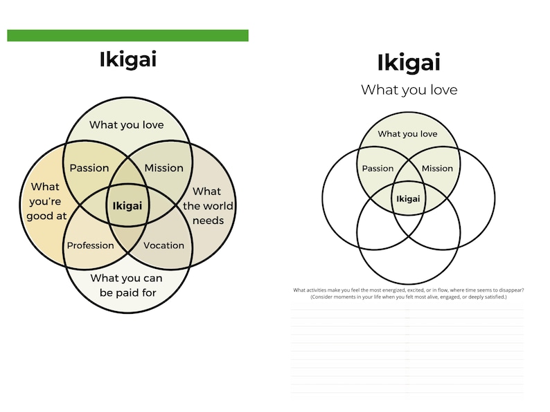Ikigai Workbook & Course: Find Your Purpose (digital Download) - Etsy