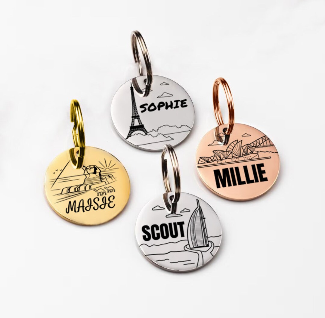 Luxurious Stainless Steel Pet Dog Cat Name ID Tag Double Sided ...