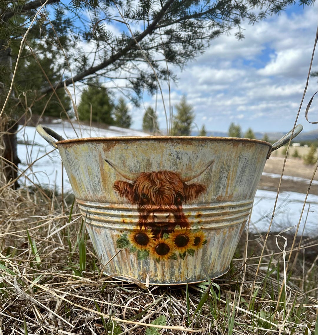 Highland Cow Galvinized Metsl Pot/ Galvinized Metal Flower Pot ...