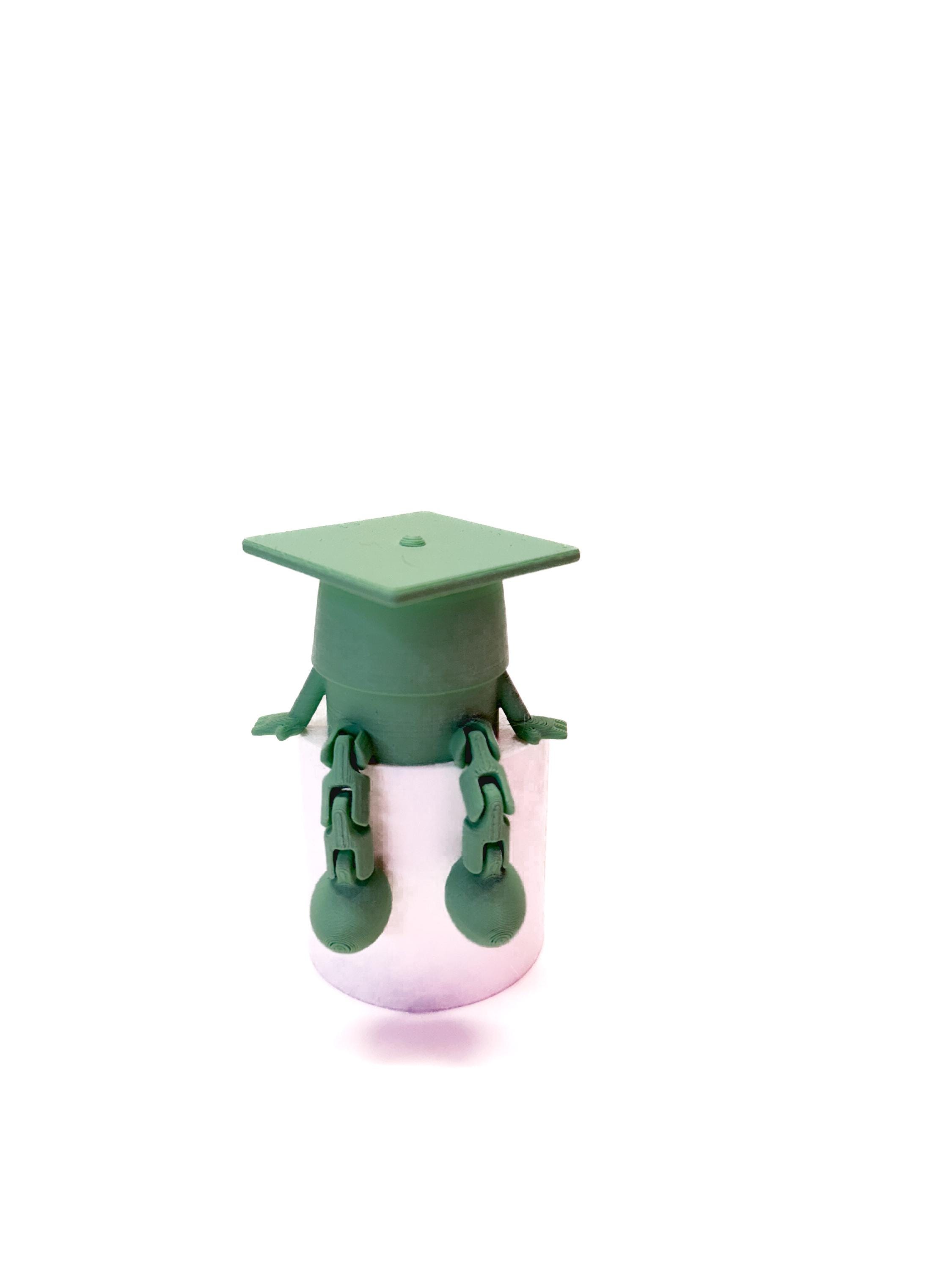 Graduation Cap Buddy Collectible 3D Printed Articulated Toy Cute ...