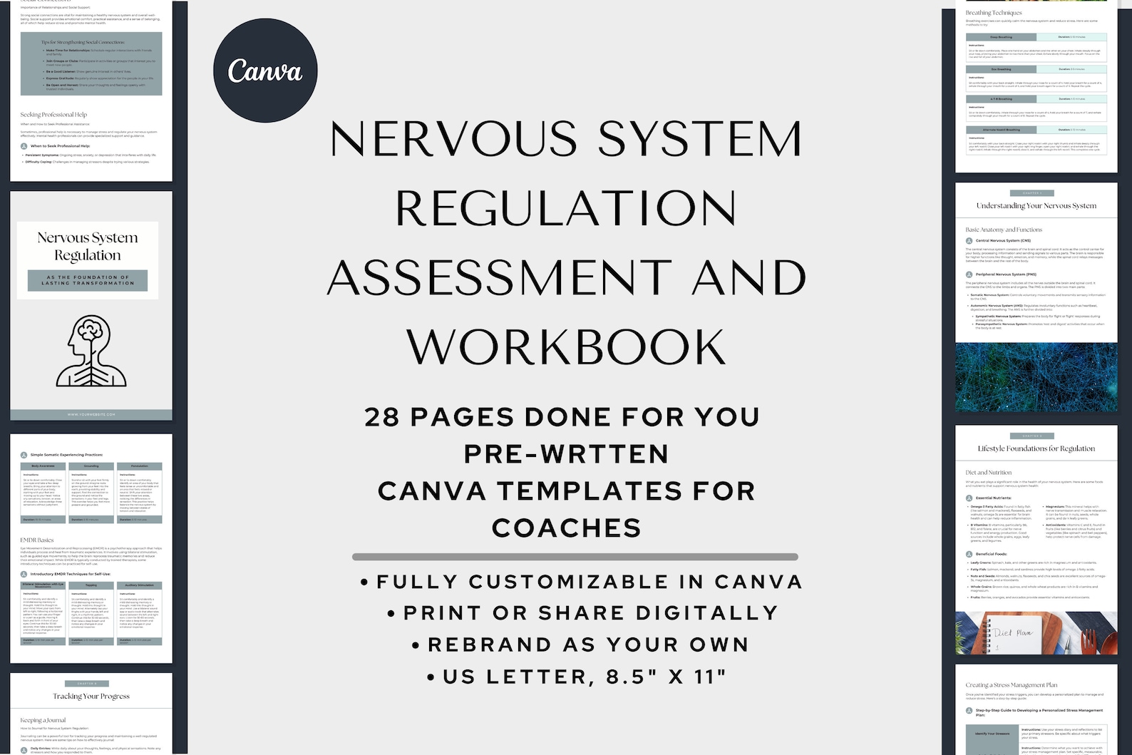Nervous System Regulation Workbook: Coaching Assessment Canva Template ...