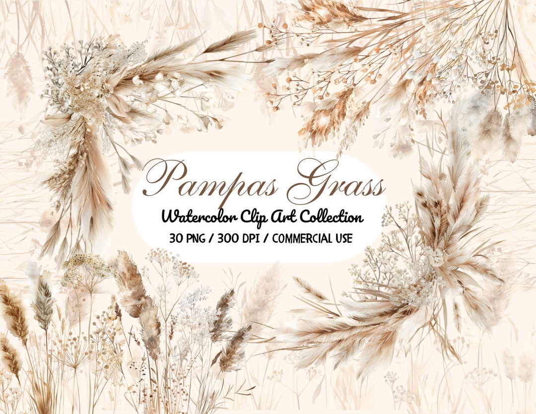 Pampas Grass Clipart, Boho Floral Clipart, Watercolor Pampas Grass PNG ...