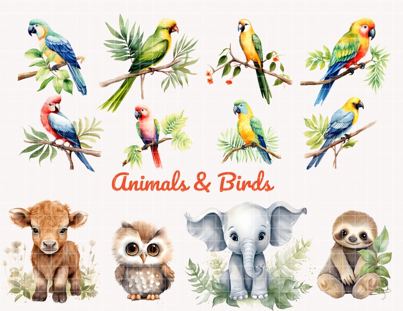 Cute Jungle Animals Clipart PNG, Baby Shower Clipart, Cute Baby Animals ...