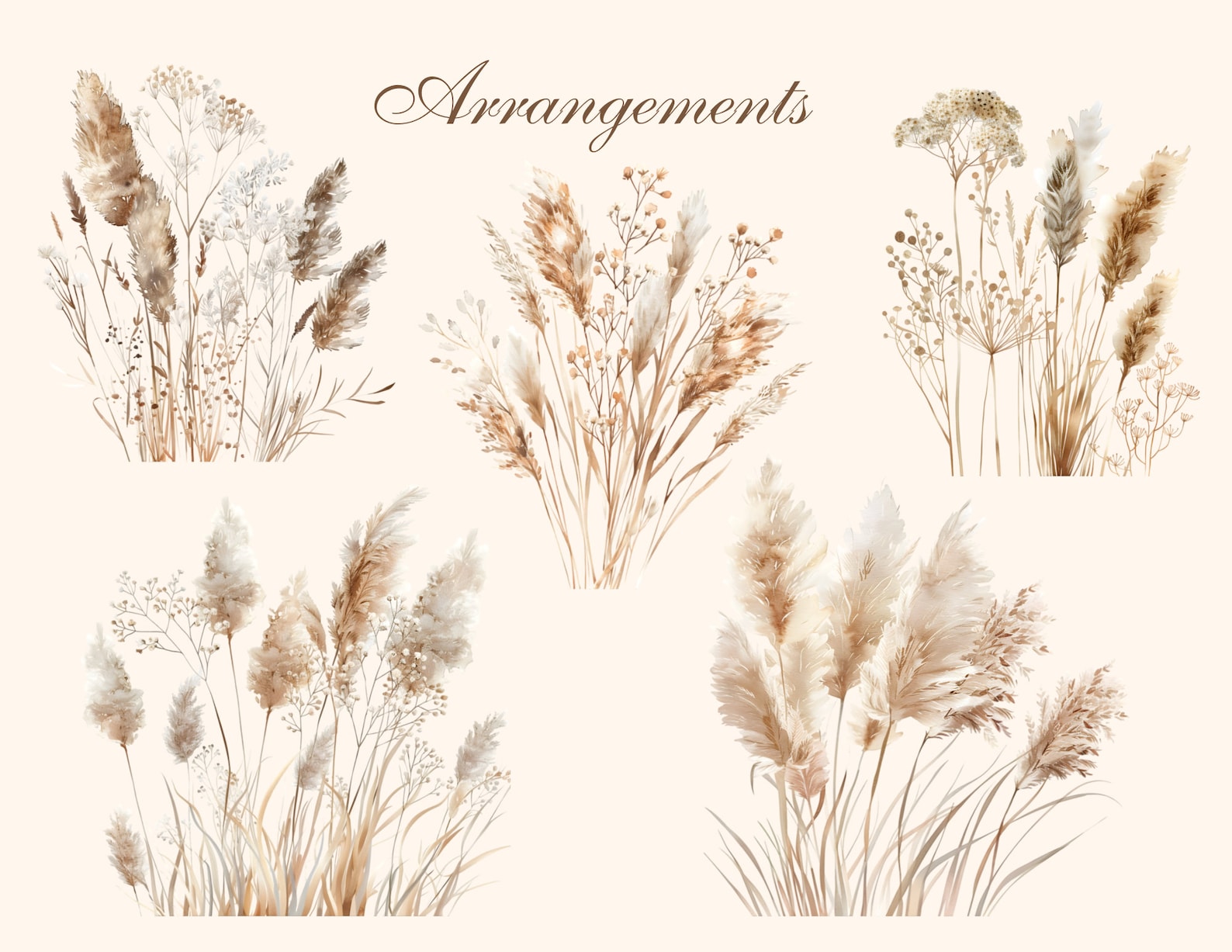 Pampas Grass Clipart, Boho Floral Clipart, Watercolor Pampas Grass PNG ...