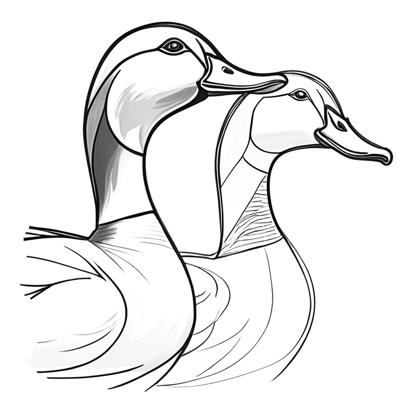 Animal Black Line Art Clipart, 68 High-quality PNG and JPG, Clipart ...