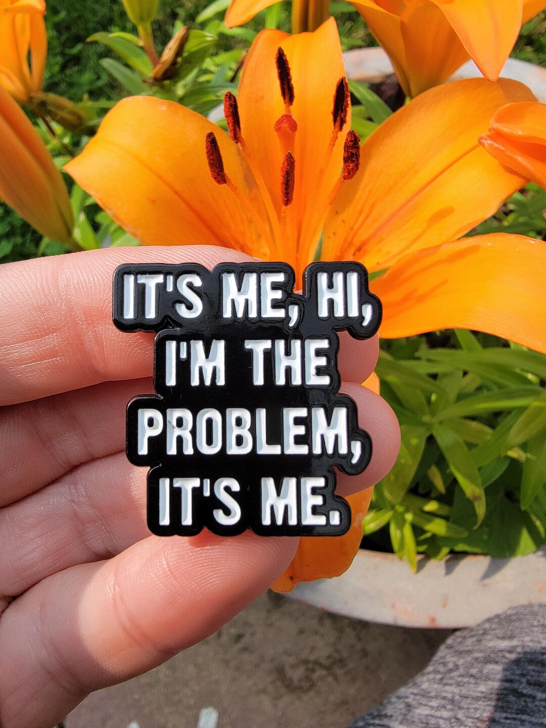 Alternative Enamel Pin, Enamel Pin, Cute Pin, Taylor Swift, Swiftie ...