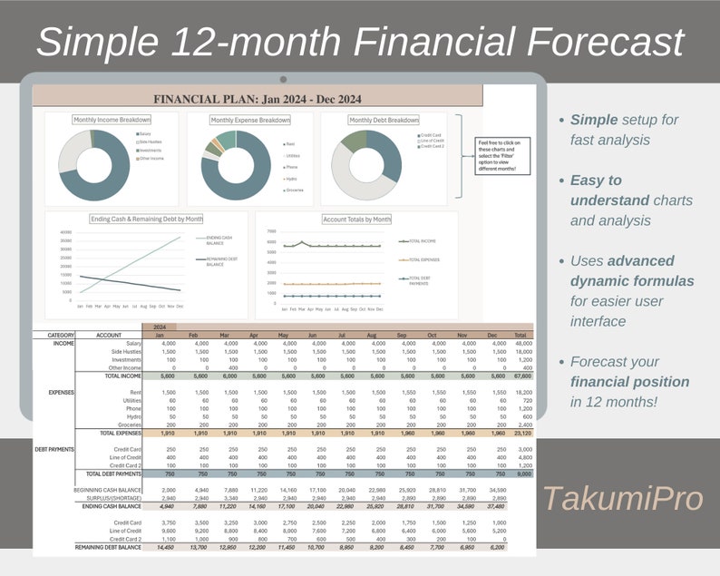 12 Month Budget Planner Template, Personal Finance Forecast - Etsy
