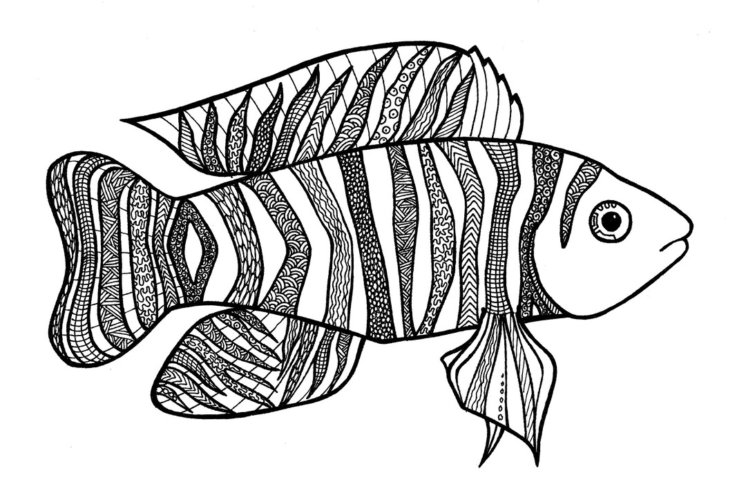Shelldweller Cichlid Coloring Page Printable Digital File - Etsy