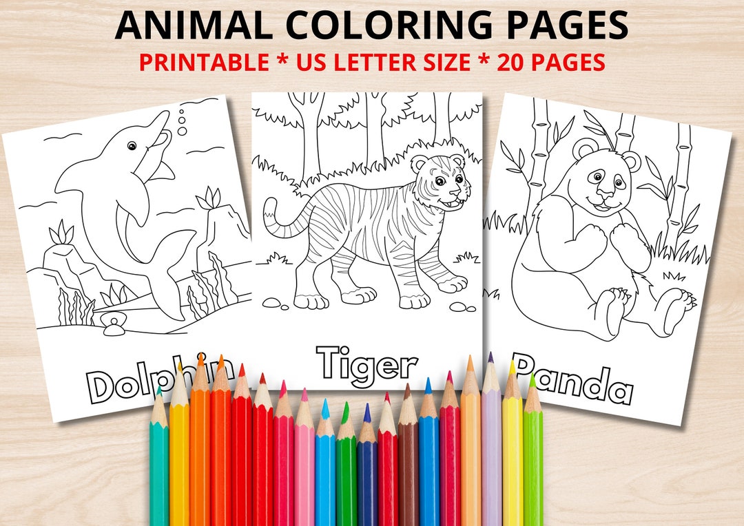 Kid Coloring Page for Animal Lover A Todler Page for Kindergarten and ...