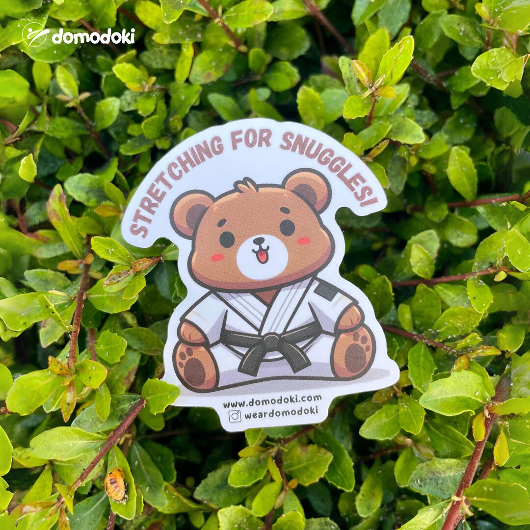 Cute Jiu Jitsu Sticker - Bear in Gi 2.5" Vinyl - Perfect for Water ...