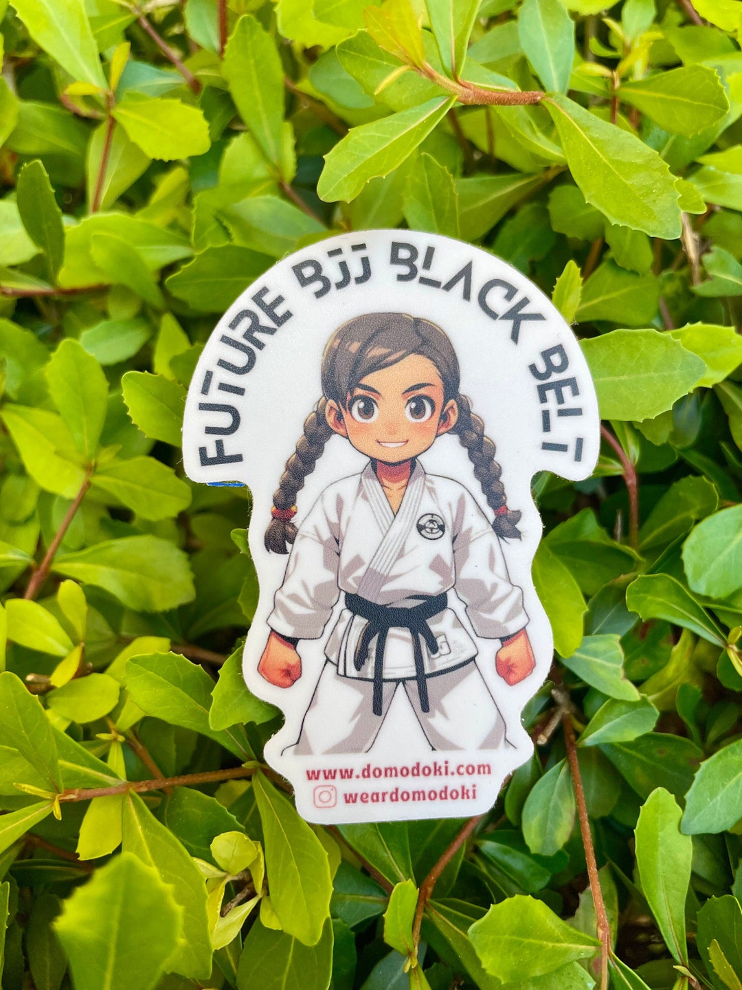Future Black Belt Girl Jiu Jitsu Sticker - 2.5" Vinyl Cool BJJ Laptop ...