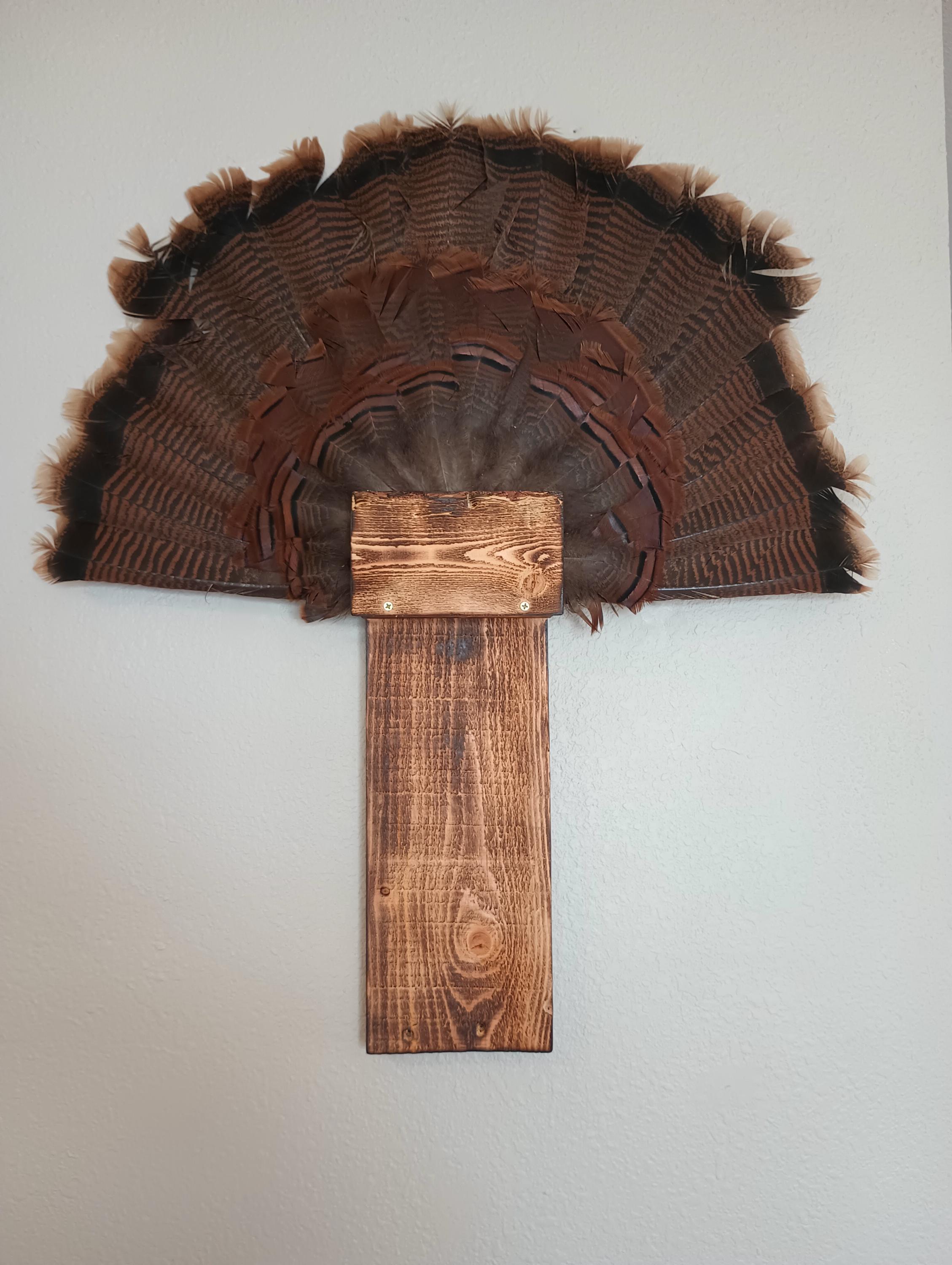 Rustic Turkey Fan Mount - Etsy