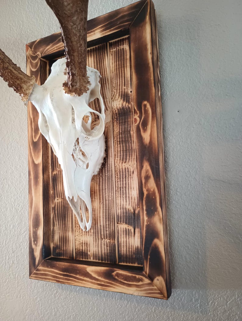 Rustic European Deer Mount Plaque - Etsy