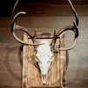 European Mount Composite Driftwood Plaque - Etsy