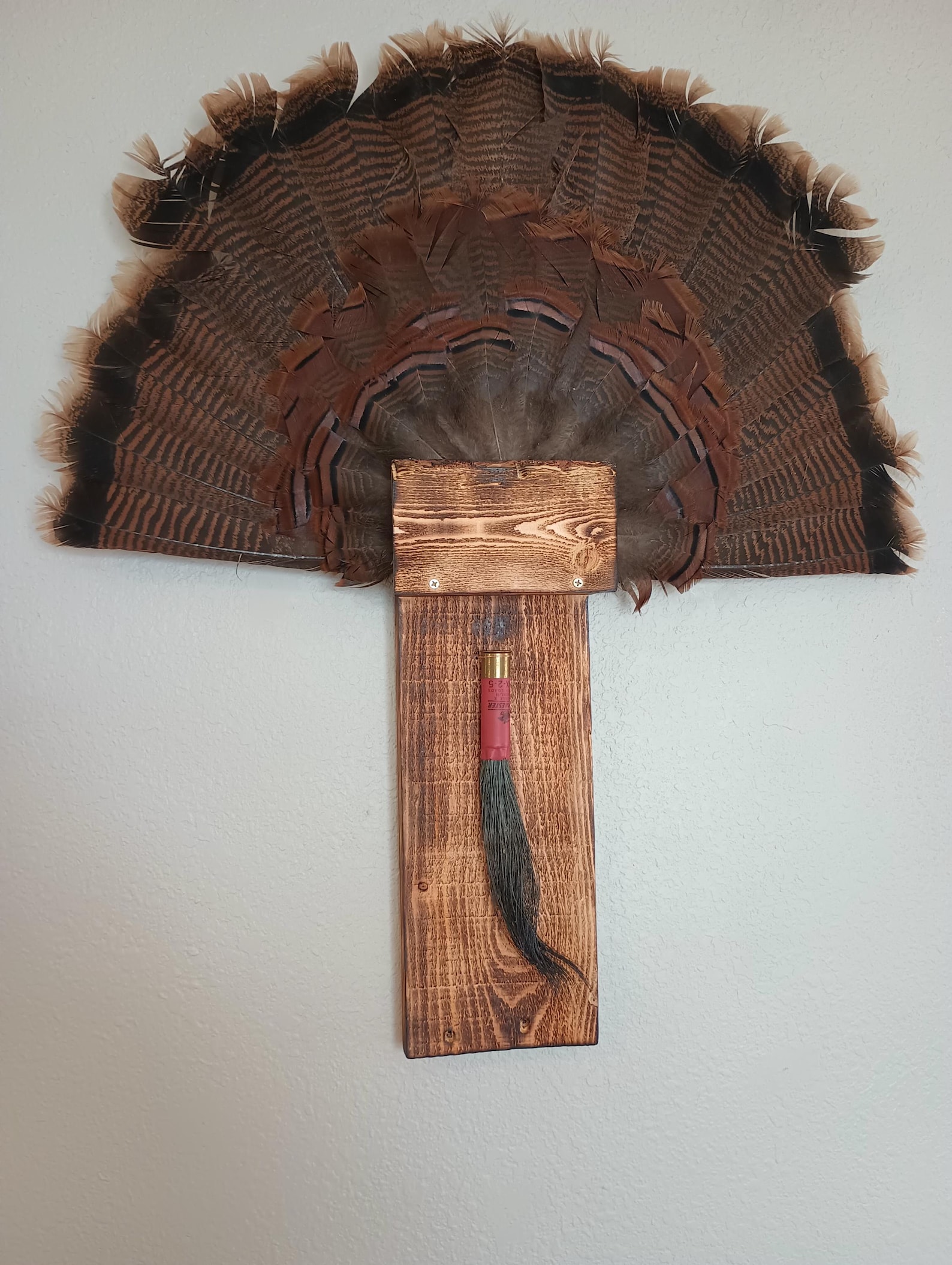 Rustic Turkey Fan Mount - Etsy