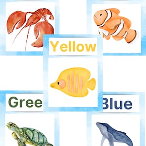 Ocean Theme Classroom Color Wall Chart, Sea Classroom Theme Color Chart ...
