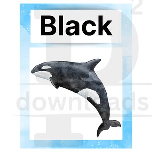 Ocean Theme Classroom Color Wall Chart, Sea Classroom Theme Color Chart ...