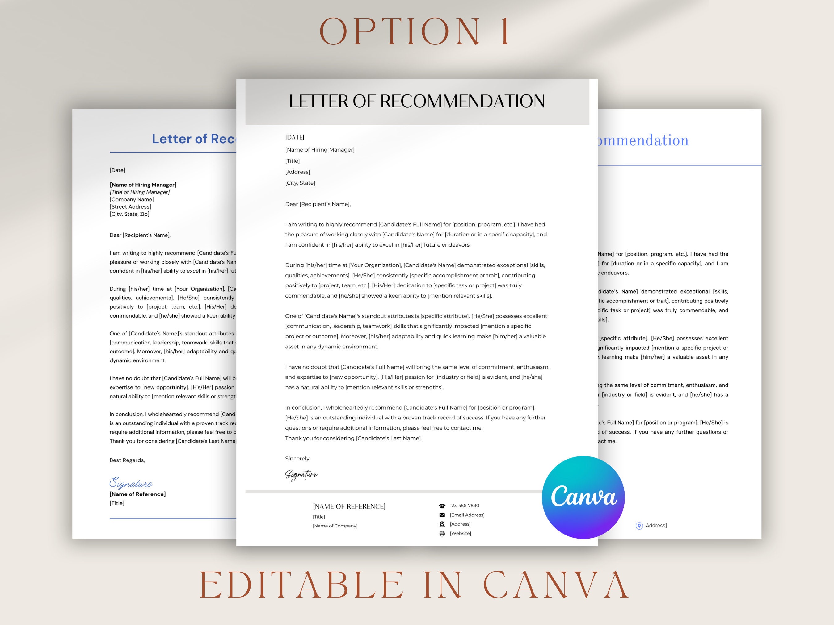 Professional Letter of Recommendation Template | Editable in Microsoft ...
