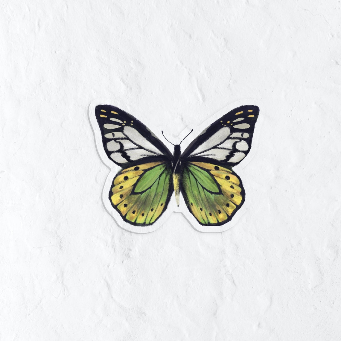 Illustration Butterfly Vinyl Sticker / Art Sticker / Waterproof Sticker ...