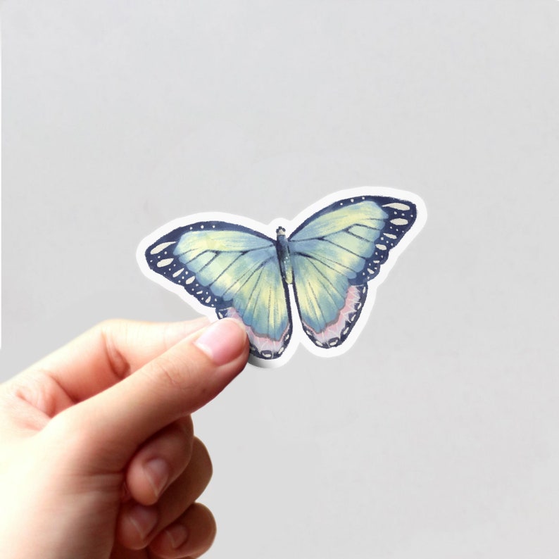 Illustration Blue Butterfly Vinyl Sticker / Art Sticker / Waterproof ...