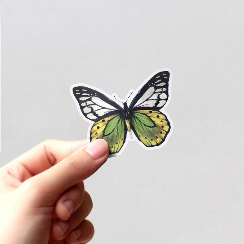 Illustration Butterfly Vinyl Sticker / Art Sticker / Waterproof Sticker ...