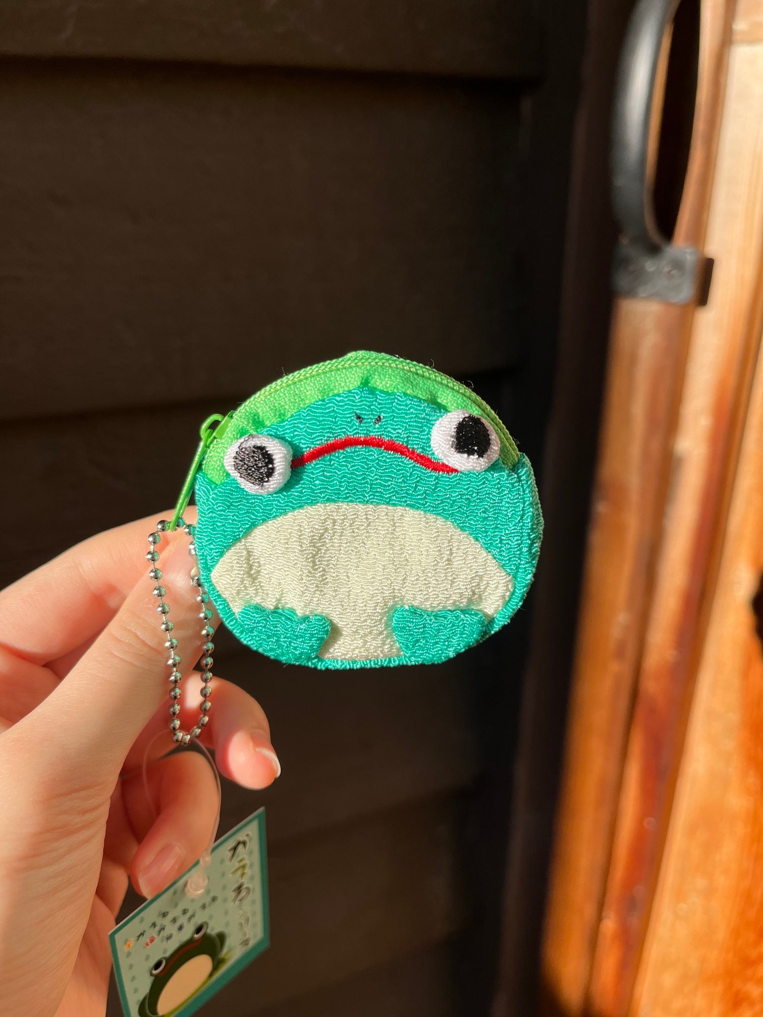 Cute Small Frog Pouch Tiny Coin Case Kawaii Smiling Frog for Gift for ...