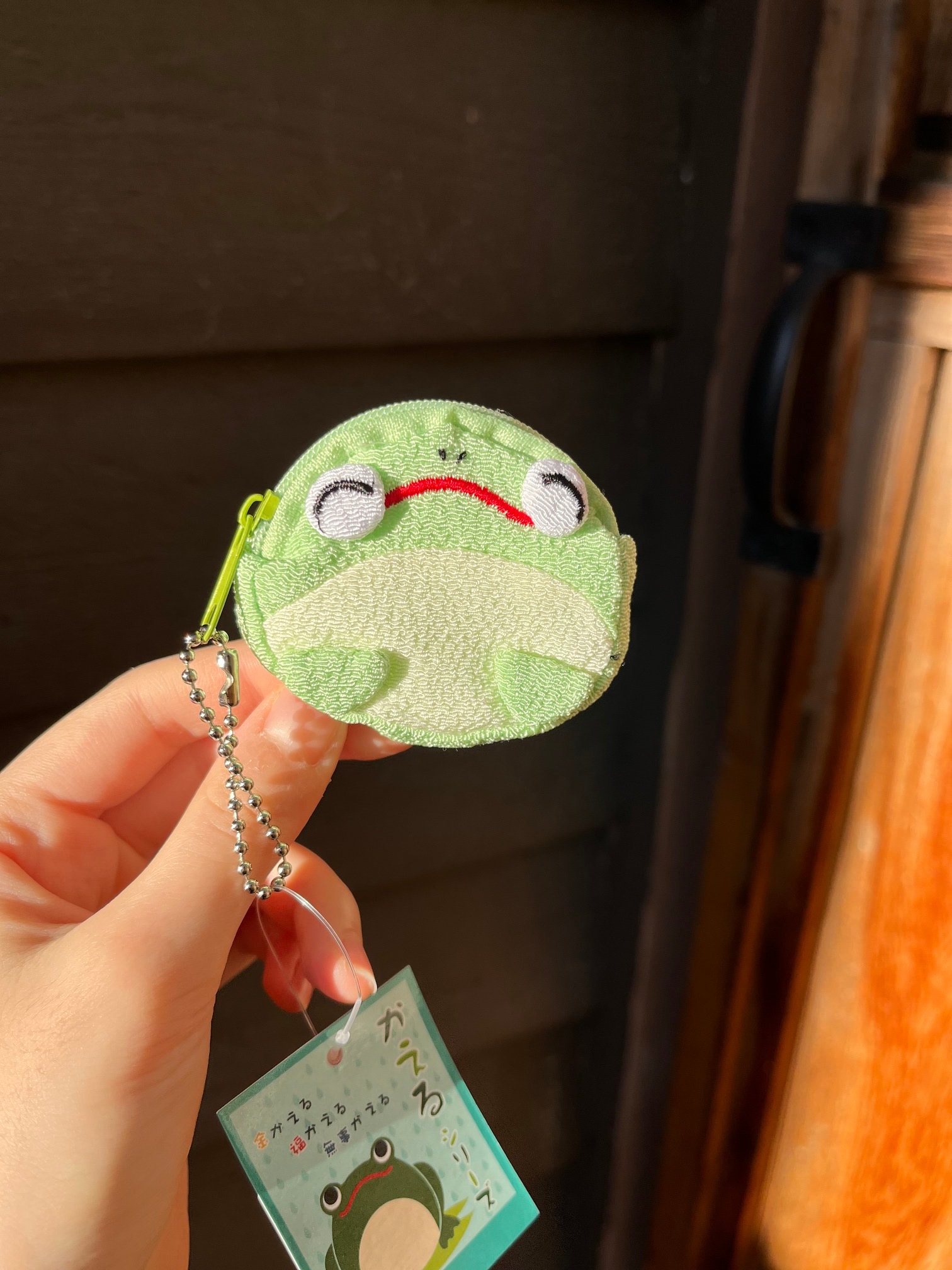 Cute Small Frog Pouch Tiny Coin Case Kawaii Smiling Frog for Gift for ...
