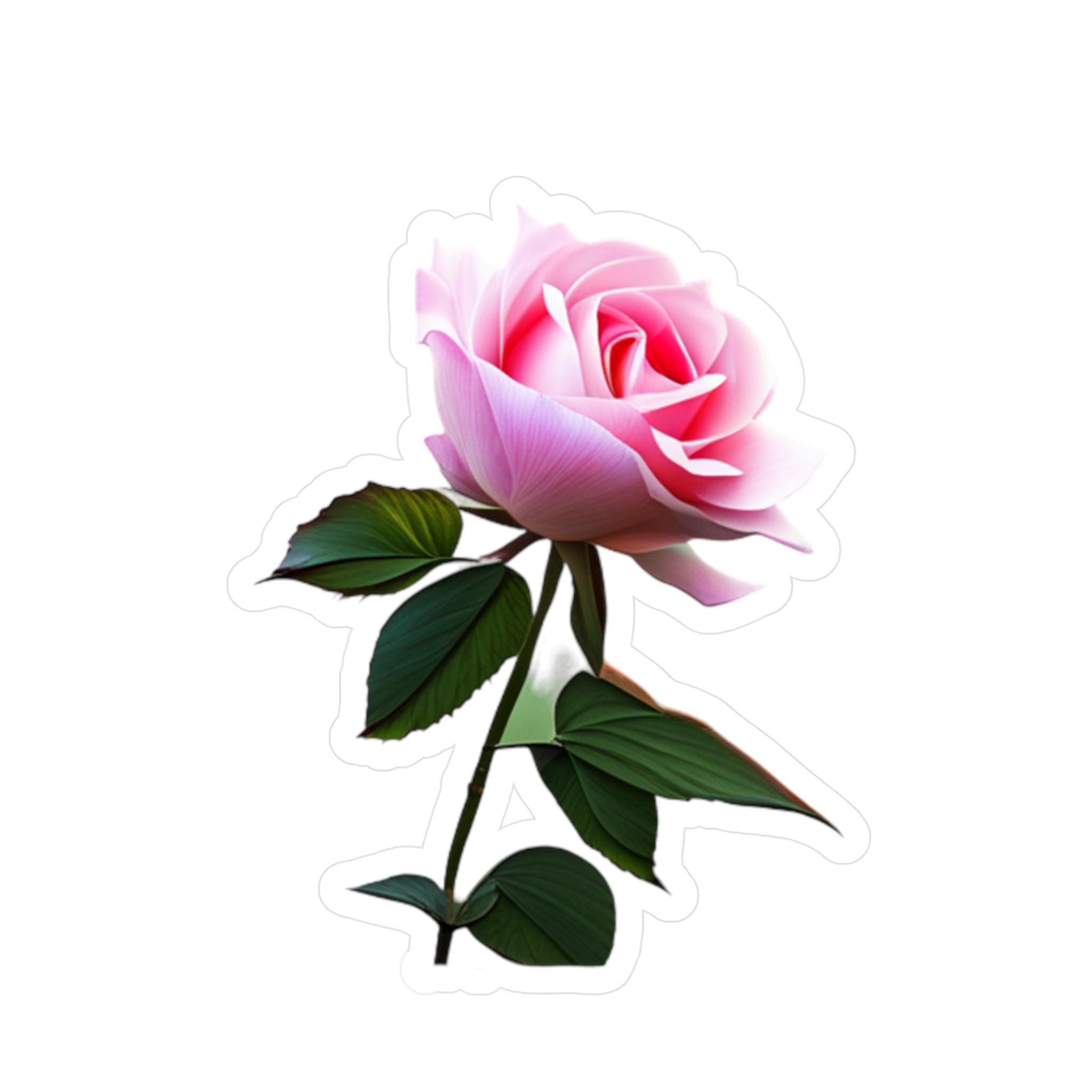 Pretty Pink Rose Decal Pink Rose Bloom Decal - Etsy