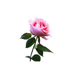 Pretty Pink Rose Decal Pink Rose Bloom Decal - Etsy