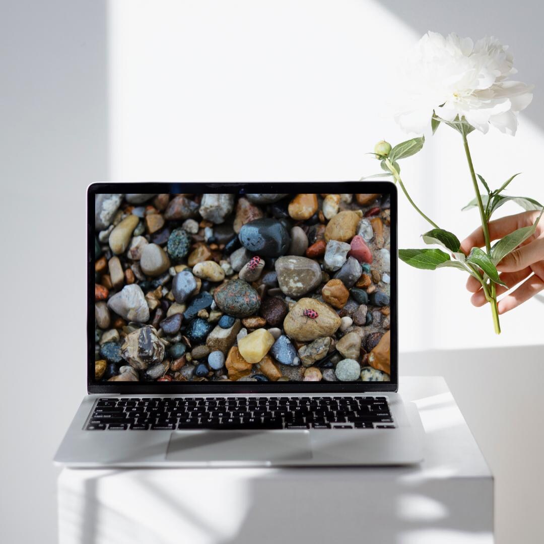 Computer Wallpaper | Background Wallpaper | Moody Rainy Rock Beach ...