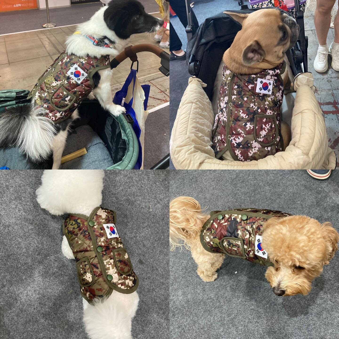 Korean Military Dog Vest | Military Camo Design for Dogs | Dog Fleece ...
