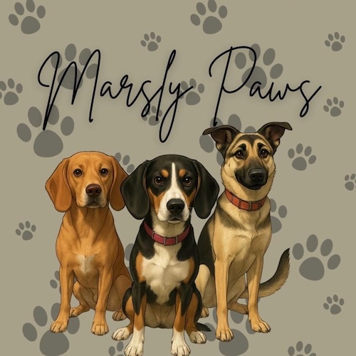 Marslypawscreations - Etsy