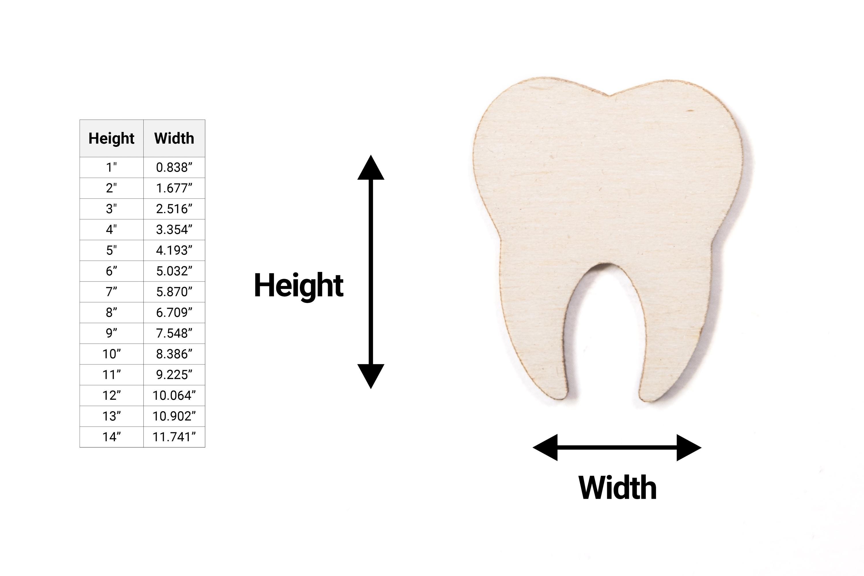 Tooth Shape Unfinished Wooden, Custom Tooth Sign Blank Laser Cutout ...