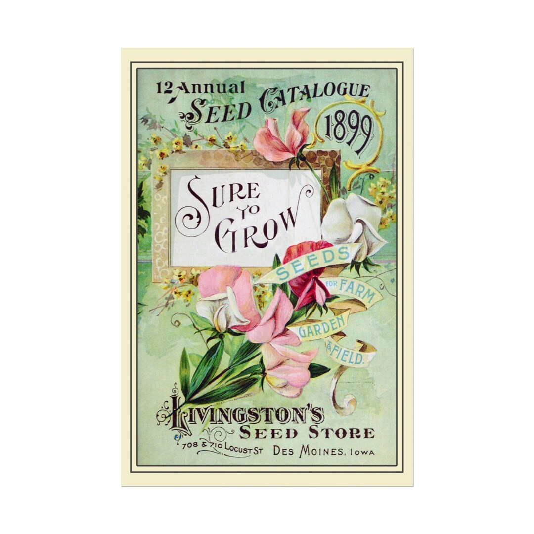 Vintage Seed Catalog Poster Print, Garden Wall Art, Floral Botanical ...