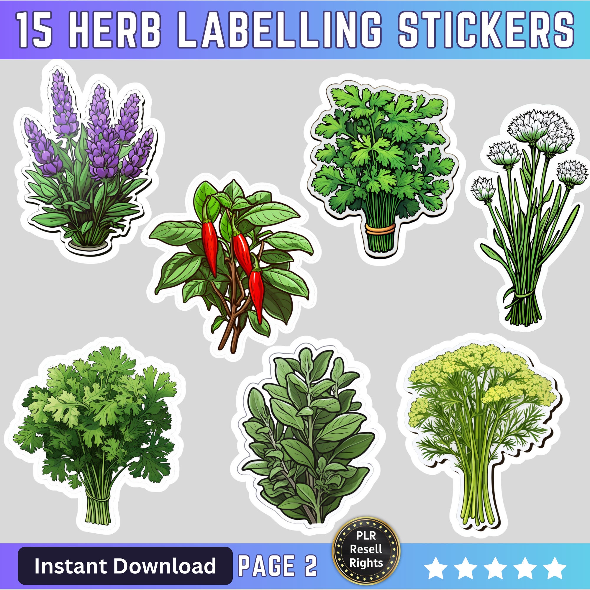 15 Herb Labelling Digital Icon Stickers Precropped Canva PNG Download ...