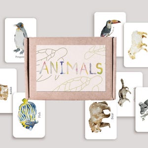 20 Animals Cards, Flash Cards, Preschool Cards, Educational Watercolor ...