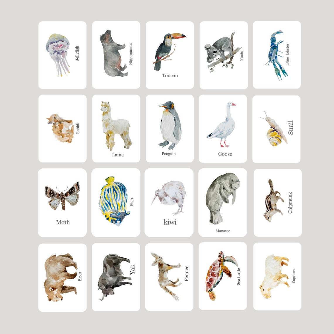 20 Animals Cards, Flash Cards, Preschool Cards, Educational Watercolor ...