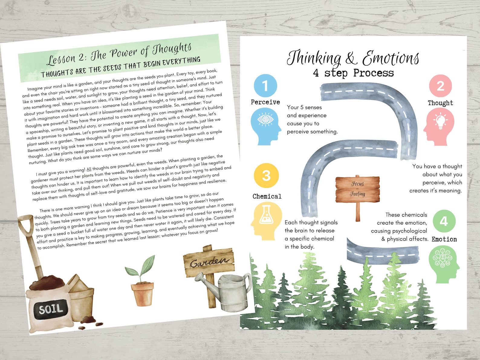 Mindset Unit Study, Growth Mindset for Kids, Brain Science, Emotions ...