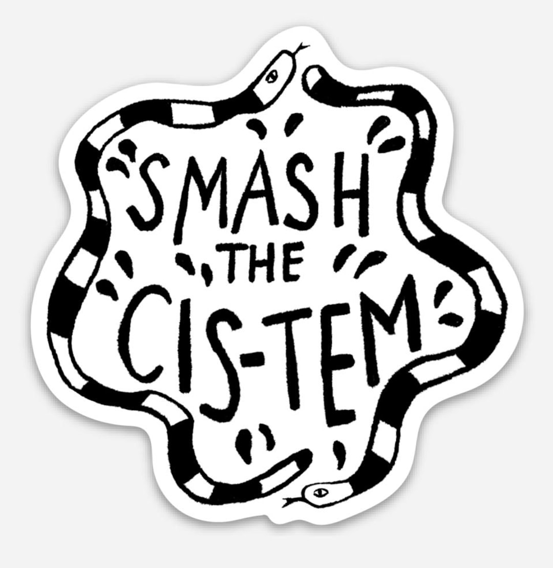 Smash the Cis-tem - Etsy