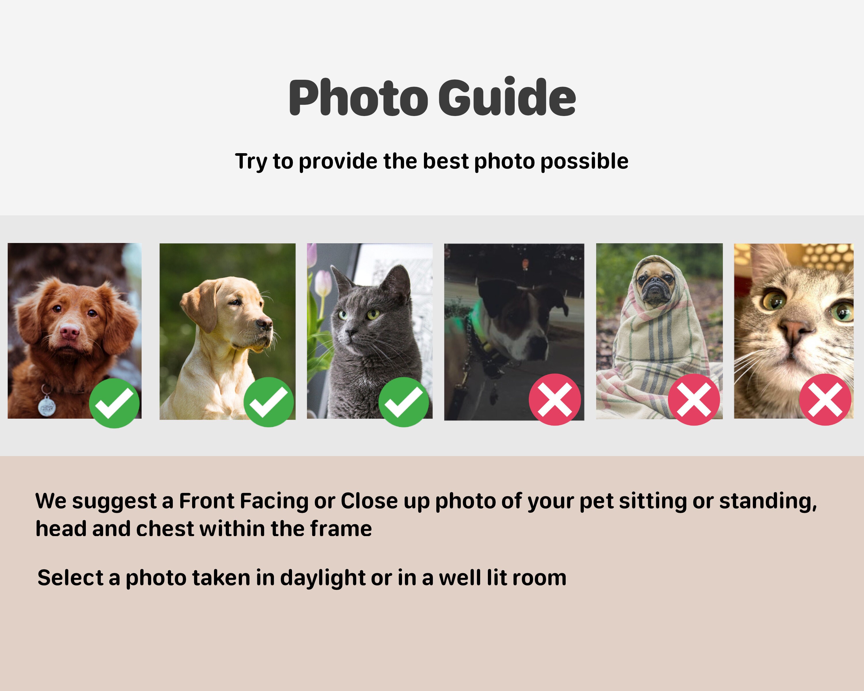 Pet Portrait Gift Drawings of Pets From Photos Acrylic Colors Royal Pet ...