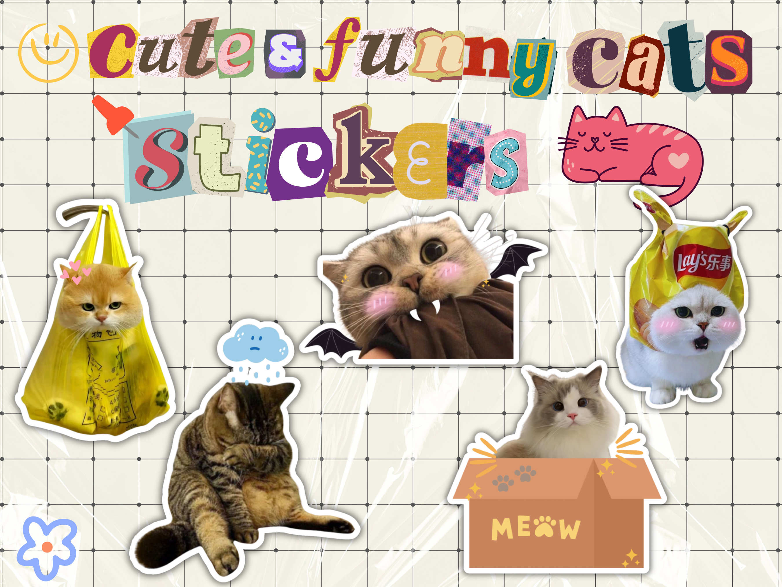 Printable Cute & Funny Cats Stickers PNG and SVG - Etsy