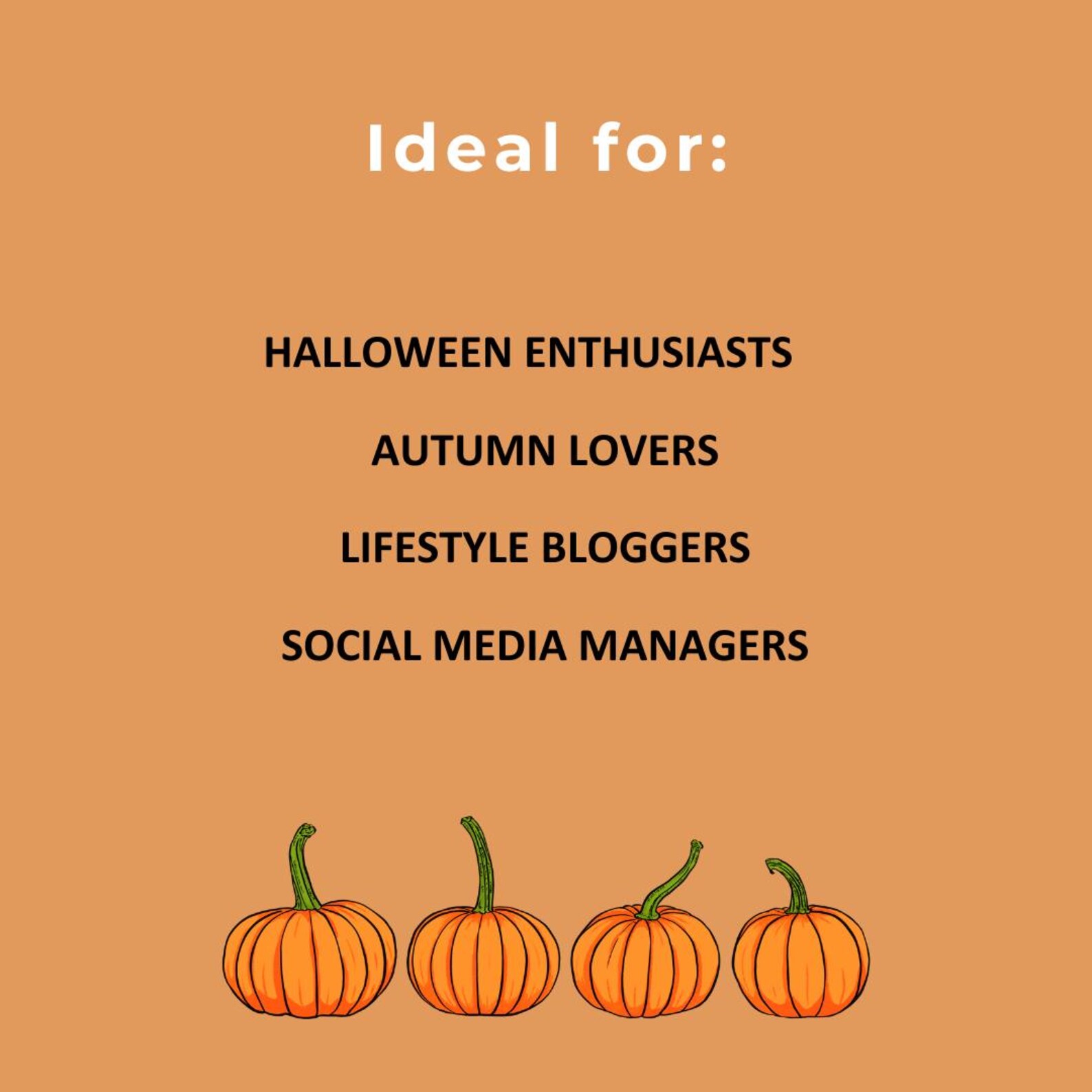 101 Autumn & Halloween Reels Videos, Fall Reels, Stock Videos, Master ...