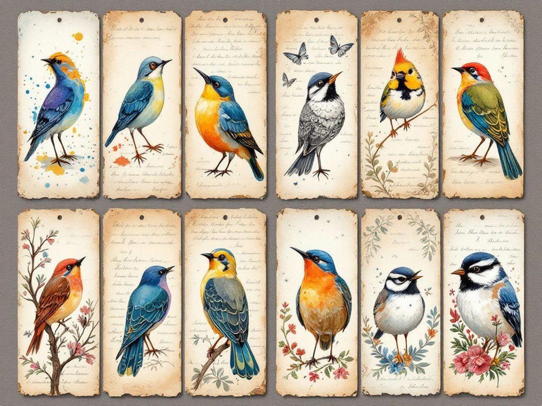Vintage Bird Ephemera, Printable Bird Cards, Junk Journal Tags (digital ...