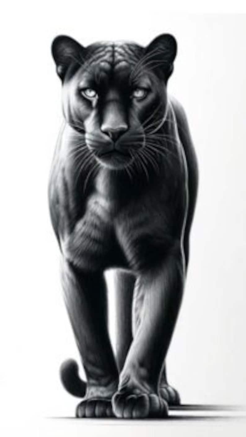 Black Panther Pencil Drawing - Etsy