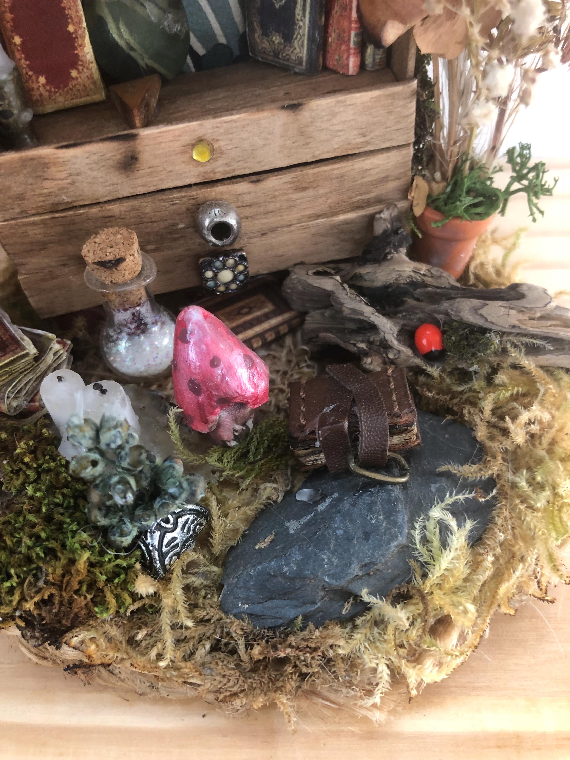 Melusine's Enchanted Library - Etsy