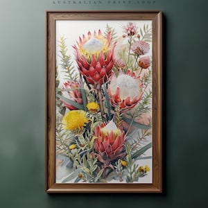 Native Australian Floral Wall Art | Botanical Prints | Aussie Flora Art ...