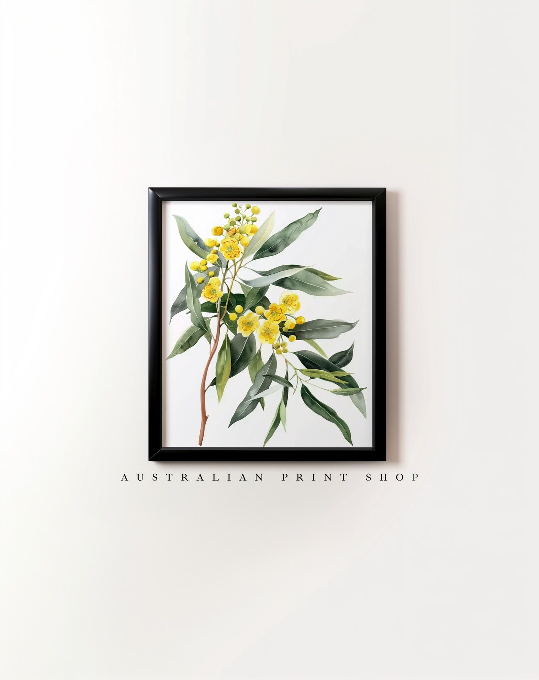 Australian Native: Wattle Tree Flower - Watercolor Painting - Digital ...